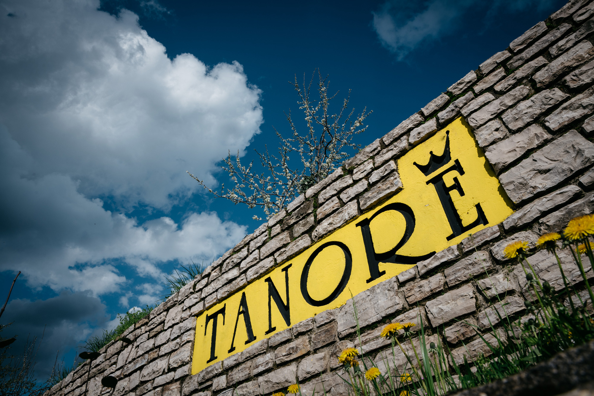 Tanorè